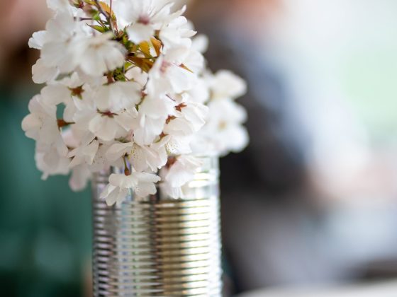 FAQ – Spaghetti Bridge